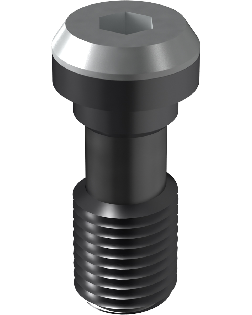 Titanium Screws Branemark® Compatible – Reiner Implants
